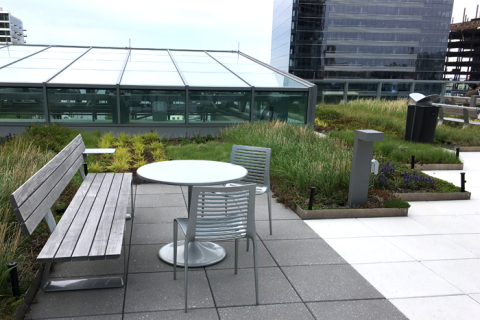 Home - Apex Green Roofs