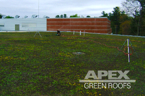 Projects - Apex Green Roofs