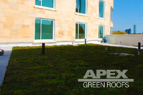 Projects - Apex Green Roofs