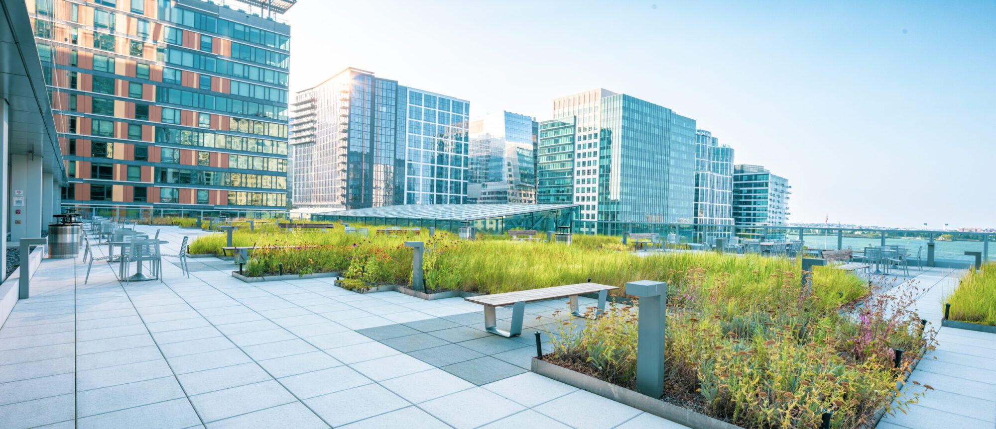Home - Apex Green Roofs