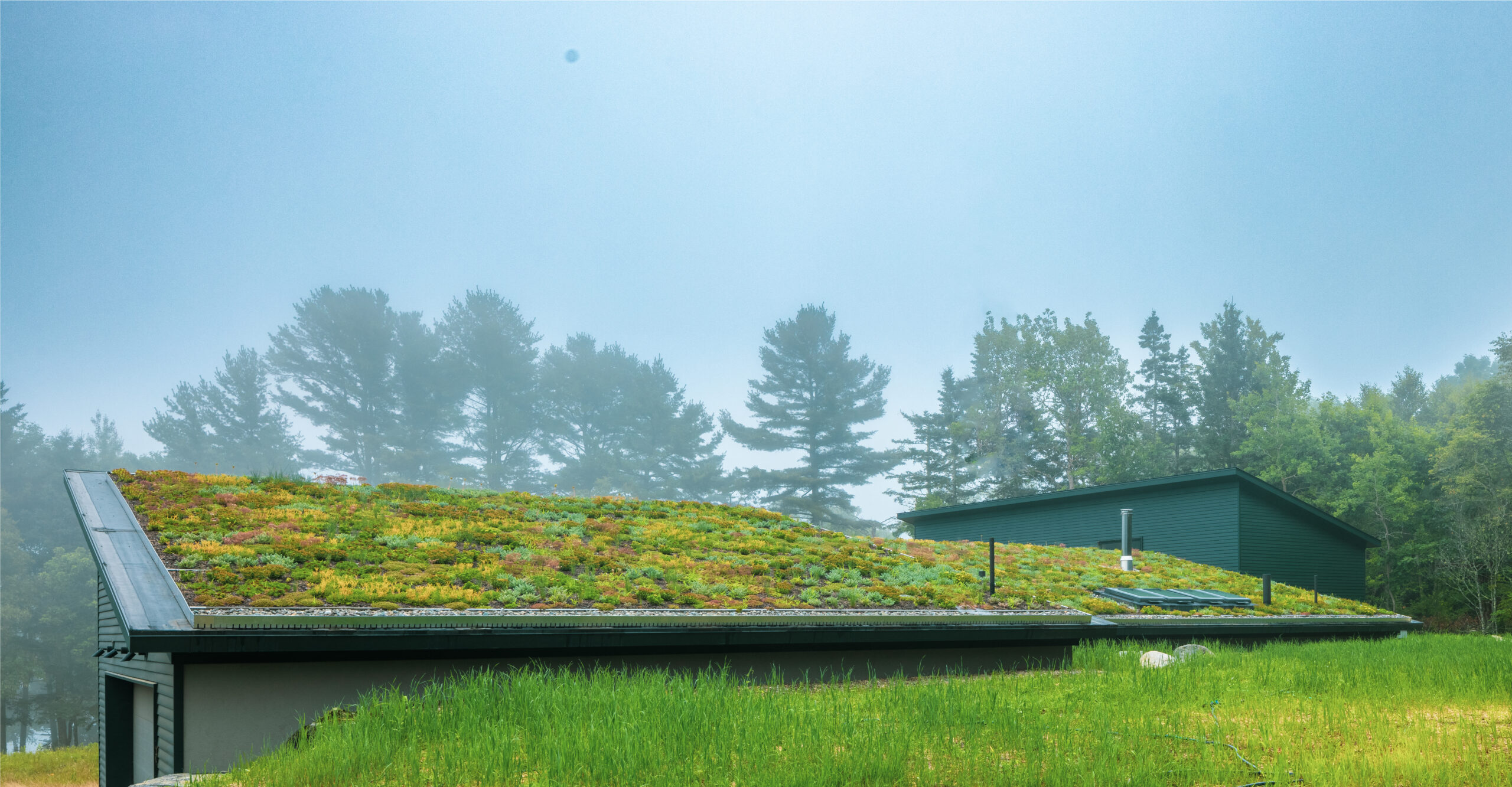 Home - Apex Green Roofs