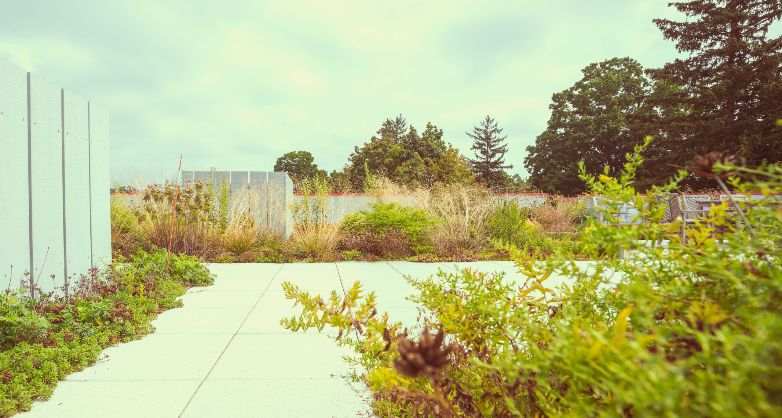 Home - Apex Green Roofs